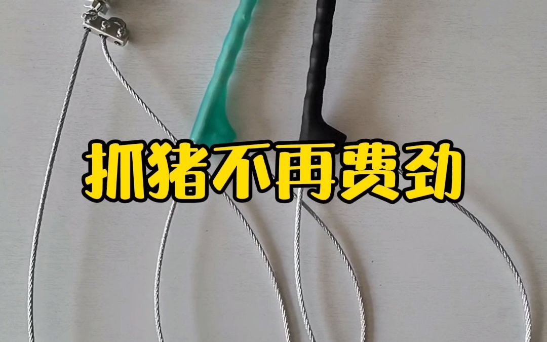 鑫佰加畜牧-金属套猪器 猪打针保定器 加固套猪绳