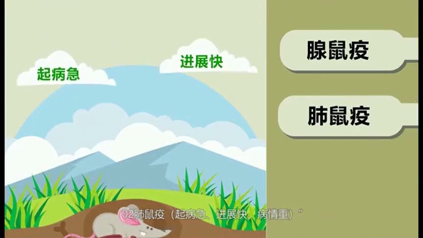 鼠疫科普——小视频:防治鼠疫宣传片