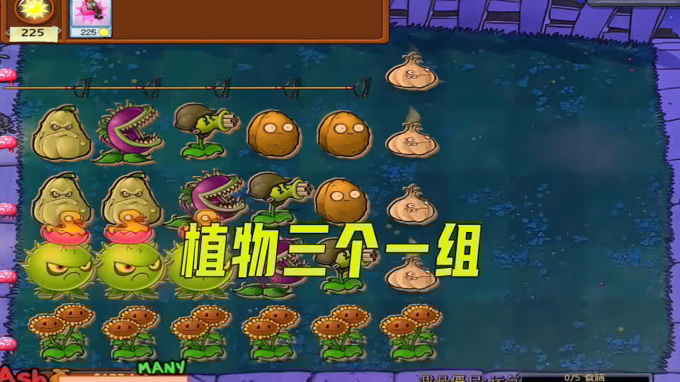 植物大战僵尸:三五十五,植物三个一组