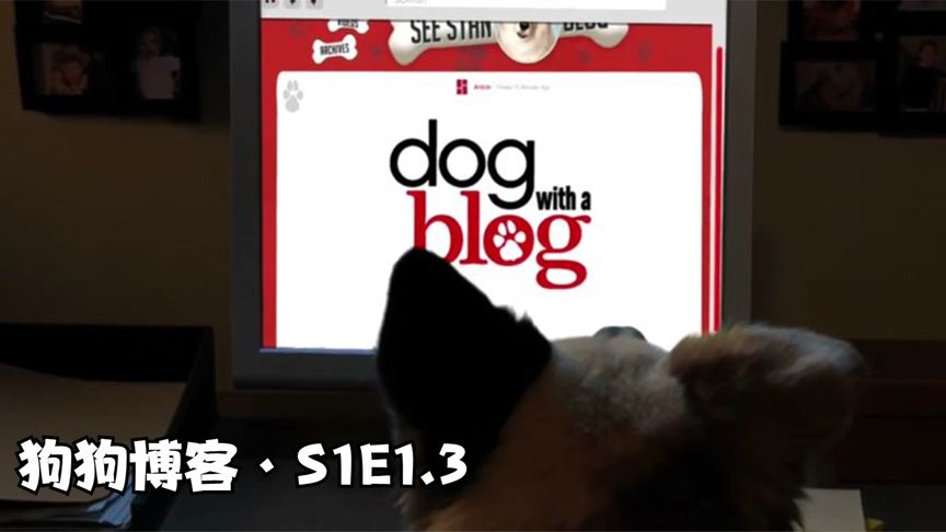 《狗狗博客》//情景喜剧·英语//狗狗被发现会讲话!超有趣!
