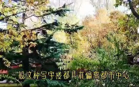 你知道什么叫写字楼吗?写字楼的标准和等级划分