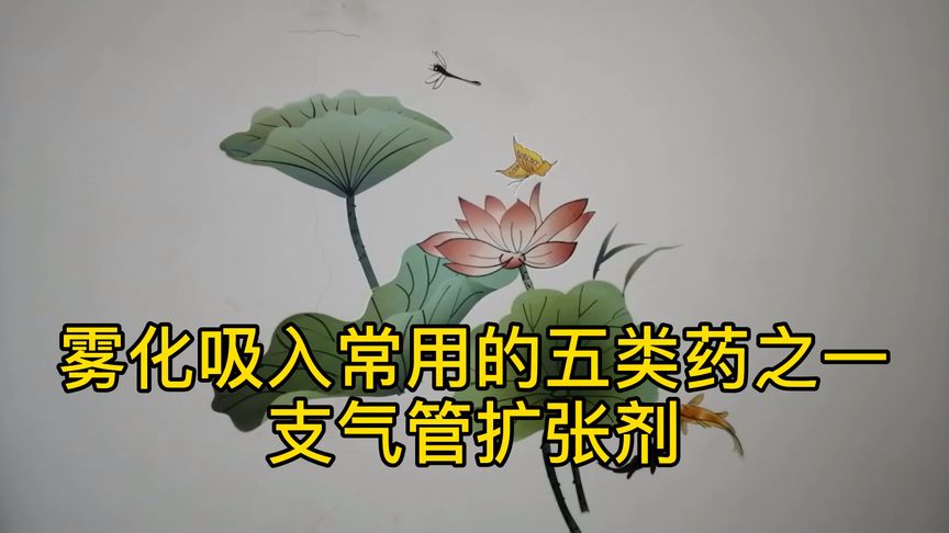 雾化吸入常用的五类药之一支气管扩张剂