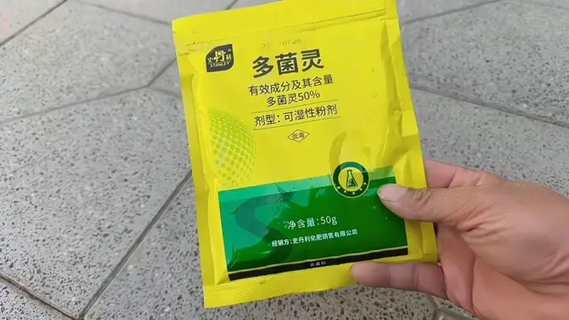 家里养的植物生病了,就用多菌灵!