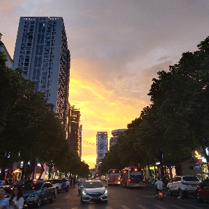 江山绿映红 