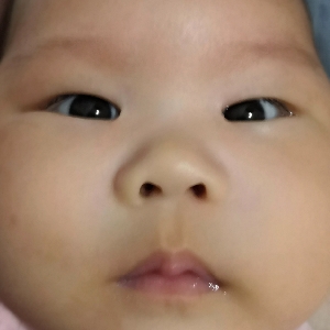 哈喽你的鱼 