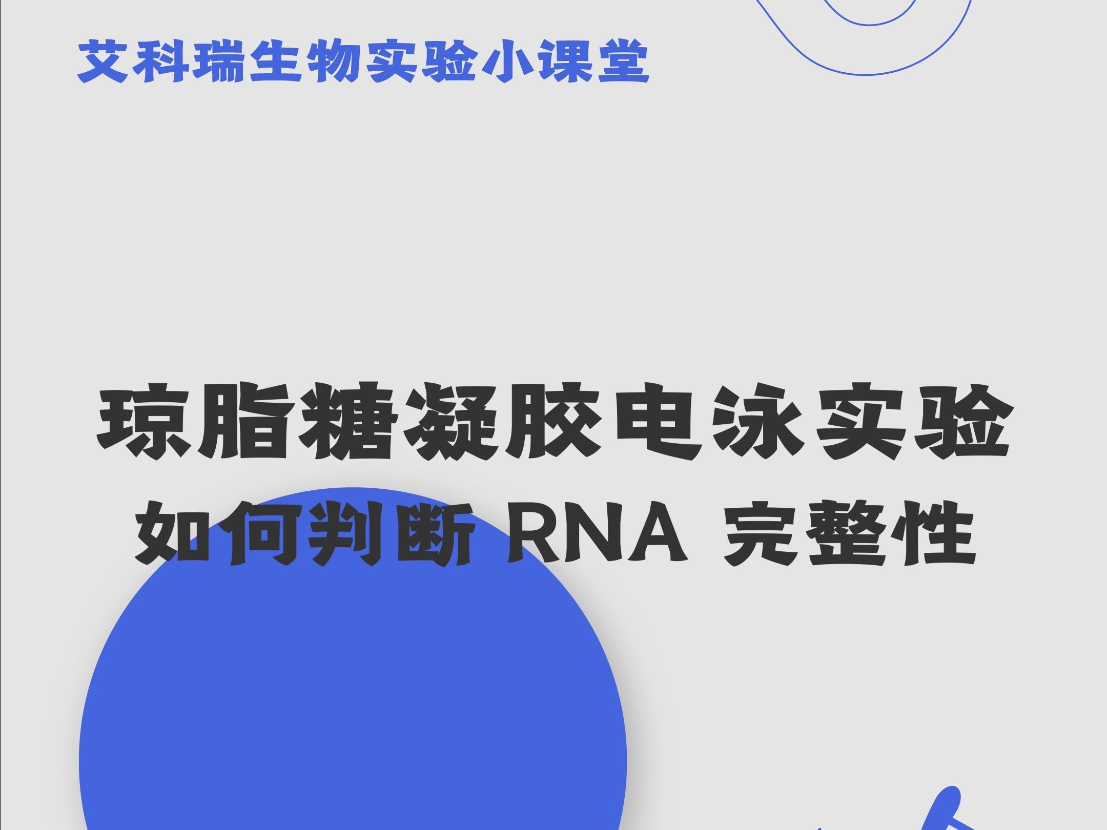 琼脂糖凝胶电泳实验如何判断 RNA 完整性