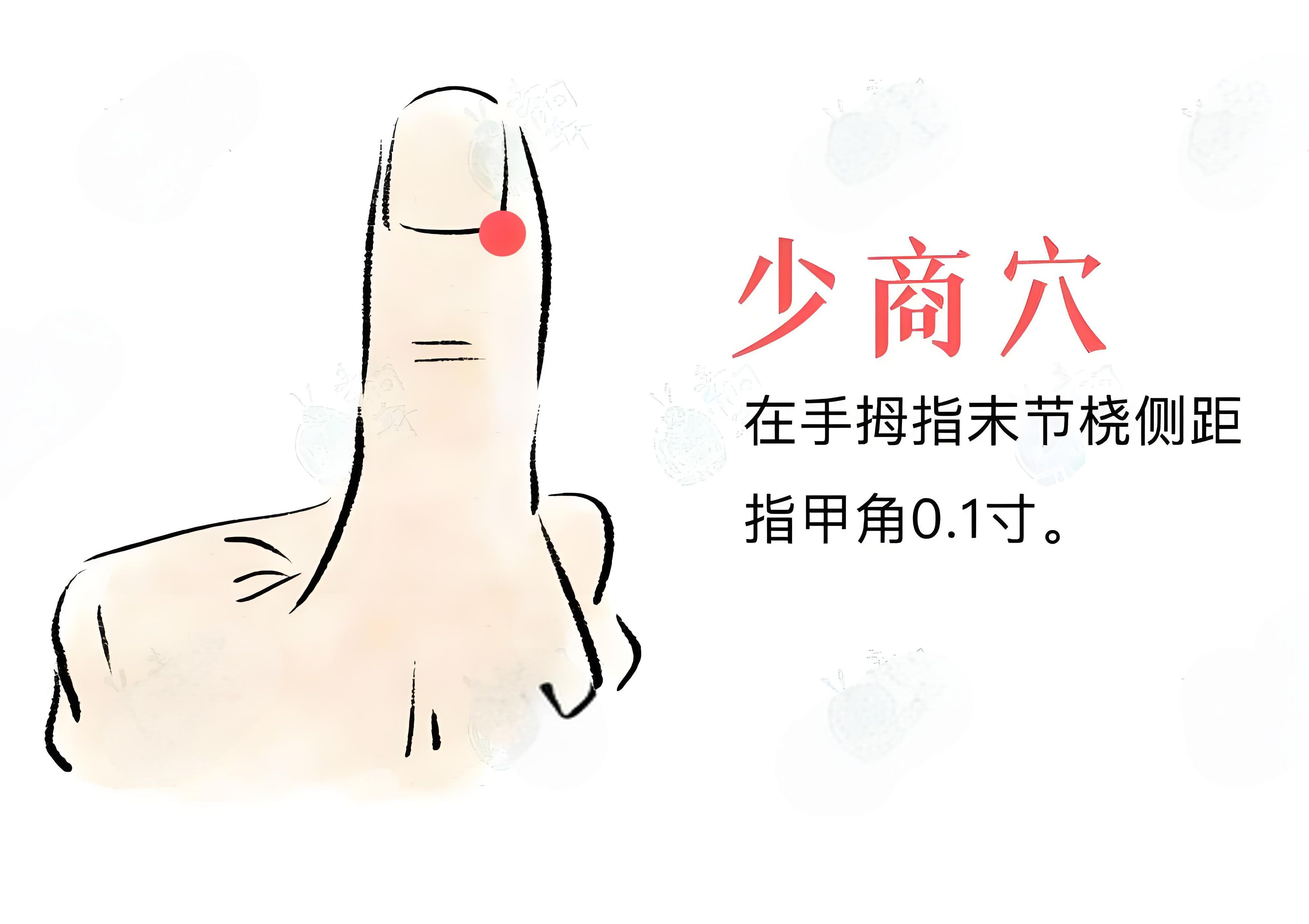 第十一讲:手太阴肺经 — 少商穴 — 消除咽喉疾患