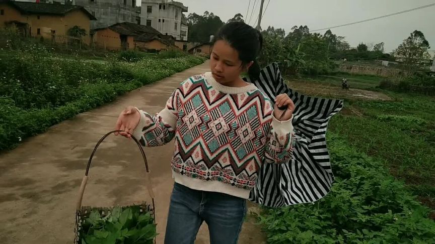味道独特的一包针摘了些回去炒,听说有清热解毒,降血压功效?