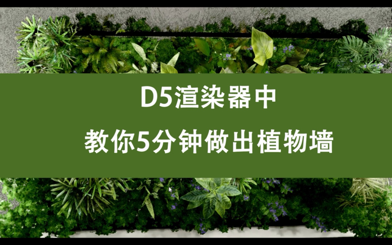 D5渲染器中,教你5分钟制作出植物墙