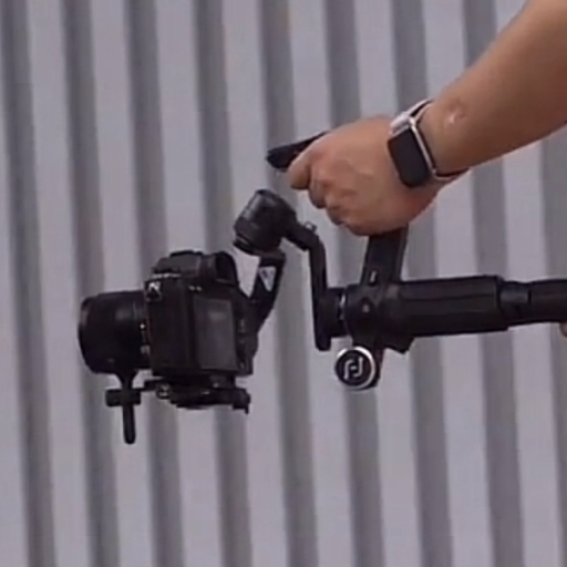 不会运镜的胖胖 