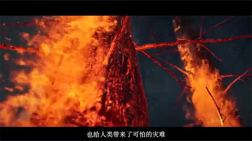 2022年秋季开学安全第一课:森林防火安全警示教育片