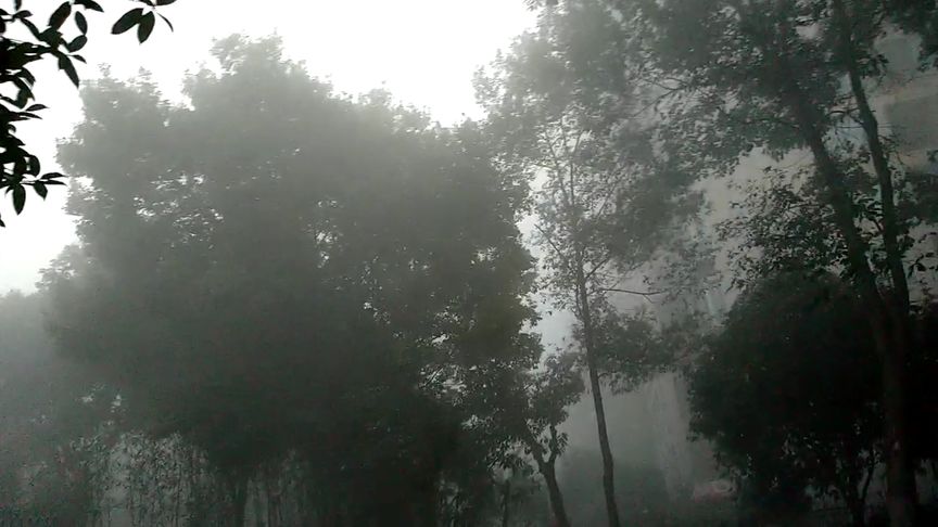 成都印象(三)远雾近树水墨画