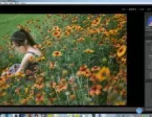 《麟摄影PS》Lightroom后期教程—径向滤镜调曝光