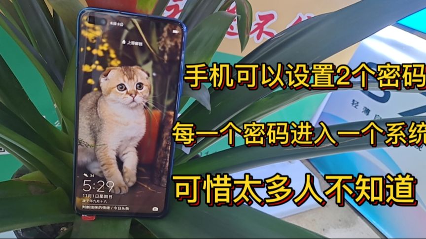 手机还可以设置2个密码,每个密码一个系统,可惜使用的人很少