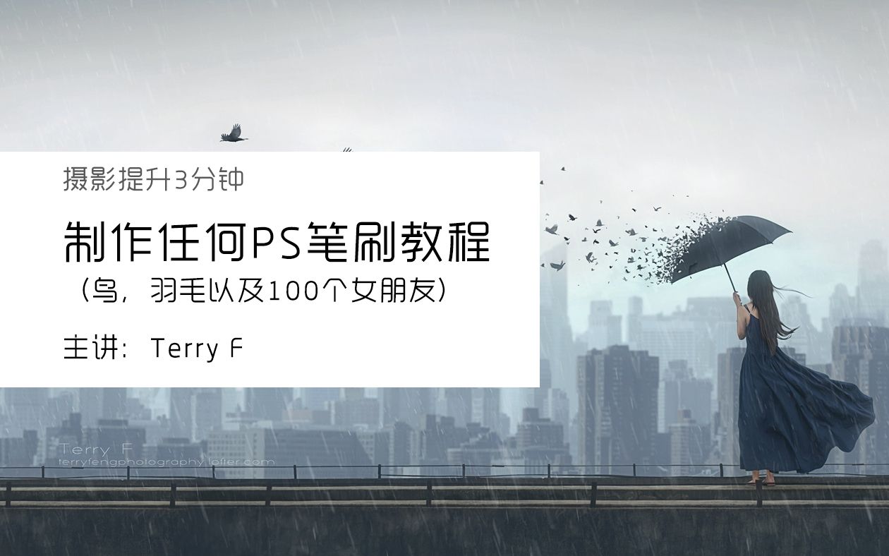 【PS技巧】快速自制高级笔刷(鸟,羽毛以及100个女朋友)