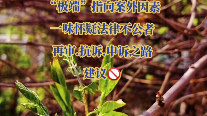 案件败诉后,不从自身、证据、策略上找其因,再审、抗诉之路建议谨慎...