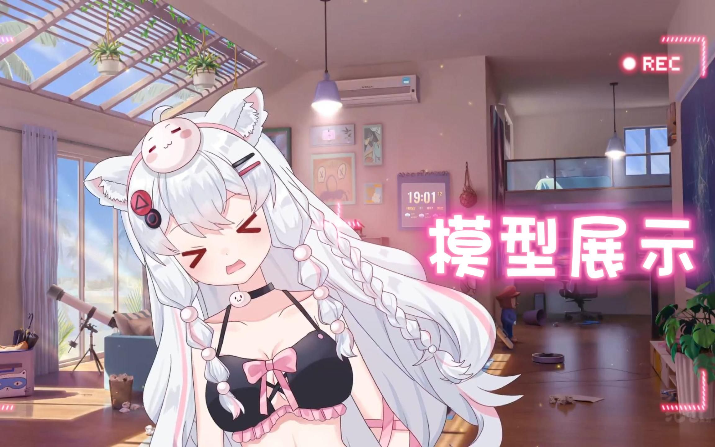 【live2d模型展示】是可可爱爱的小猫呀