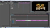PR图片运动教程06