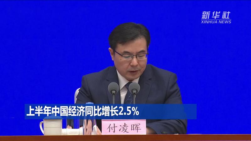 [从关键数据看中国经济韧性]上半年中国经济同比增长2.5%