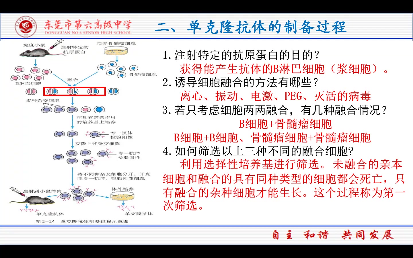动物细胞融合和单克隆抗体-新授课-陈汪洋20200306 - 第二课时