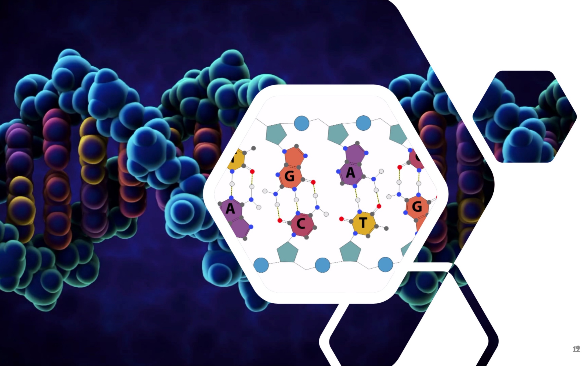 B站-生物化学-DNA复制