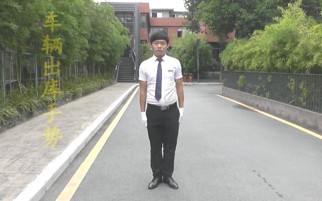 车辆交通指挥手势