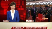 十三届全国人大一次会议举行第六次全体会议 选举和表决投票正在...