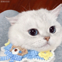 Jack_0402 
