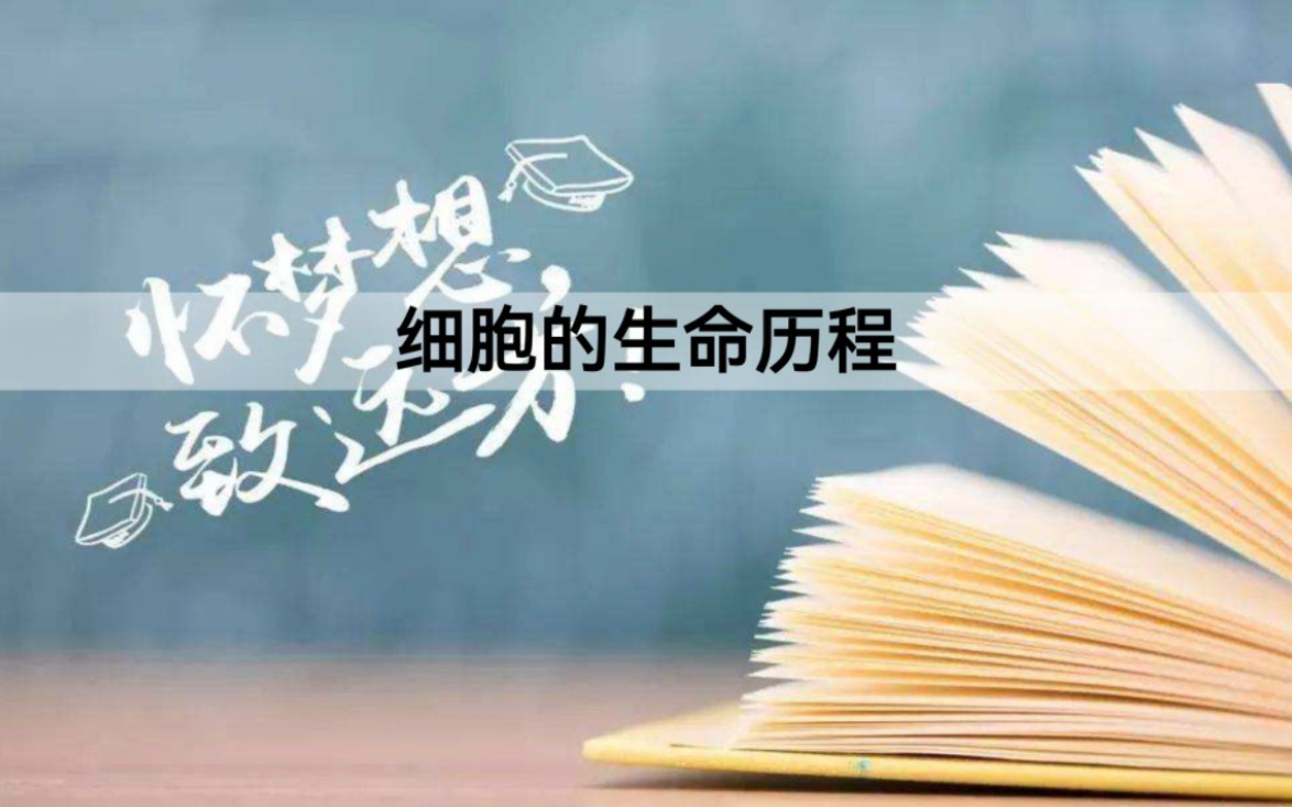 专题5 细胞的生命历程(细胞的分化、衰老、凋亡和癌变)(二轮复习)