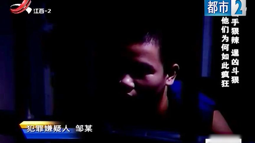 实施了四起刑事案件,九起治安案件的他们,为何如此疯狂?