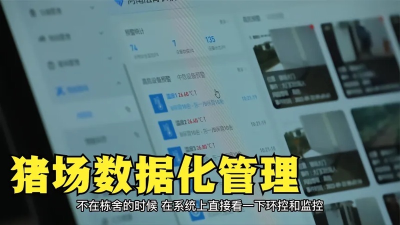 猪企网猪场数据化管理更轻松