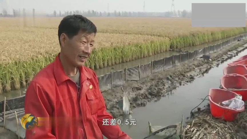 农民大哥用这种方法种水稻,既稳粮又增收,一田两份收入,人才啊