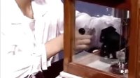 配制和标定高锰酸钾标准滴定溶液