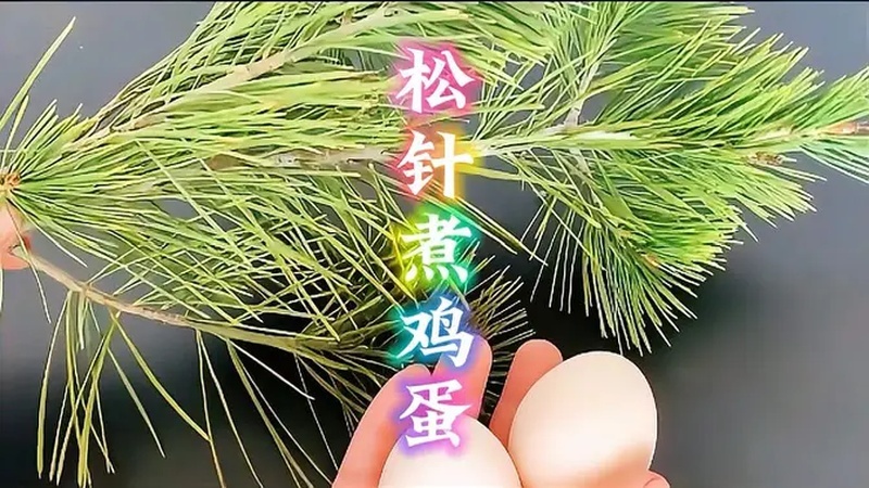 松针煮鸡蛋,2大隐藏功效太厉害了,解决了很多人的烦恼,省钱实用
