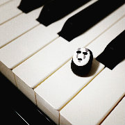 熠爸7788 