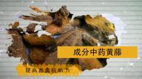 黄藤素的作用与功效,兽用黄藤素的作用功能用法用量说明