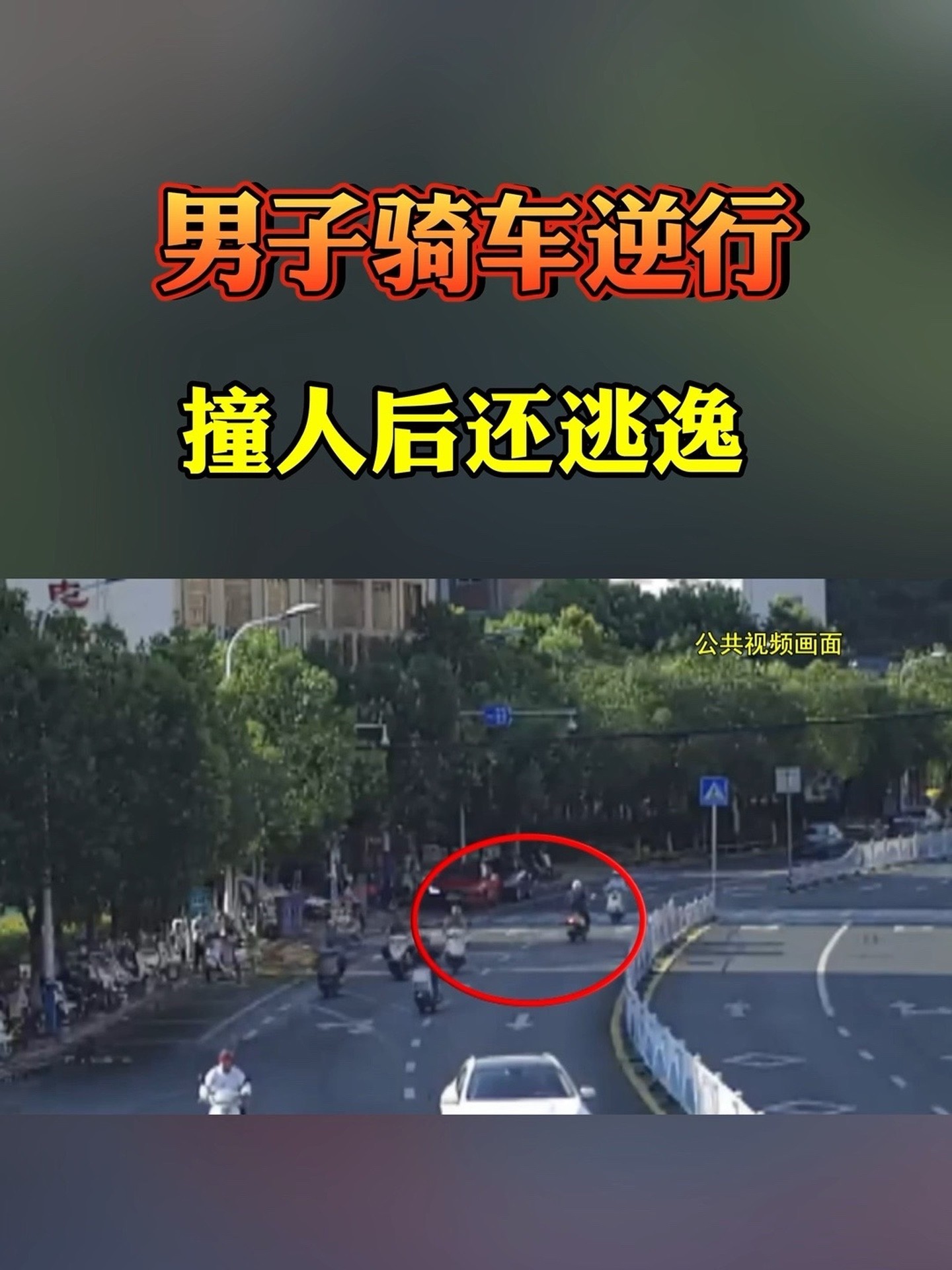 男子骑车逆行撞人后还逃逸