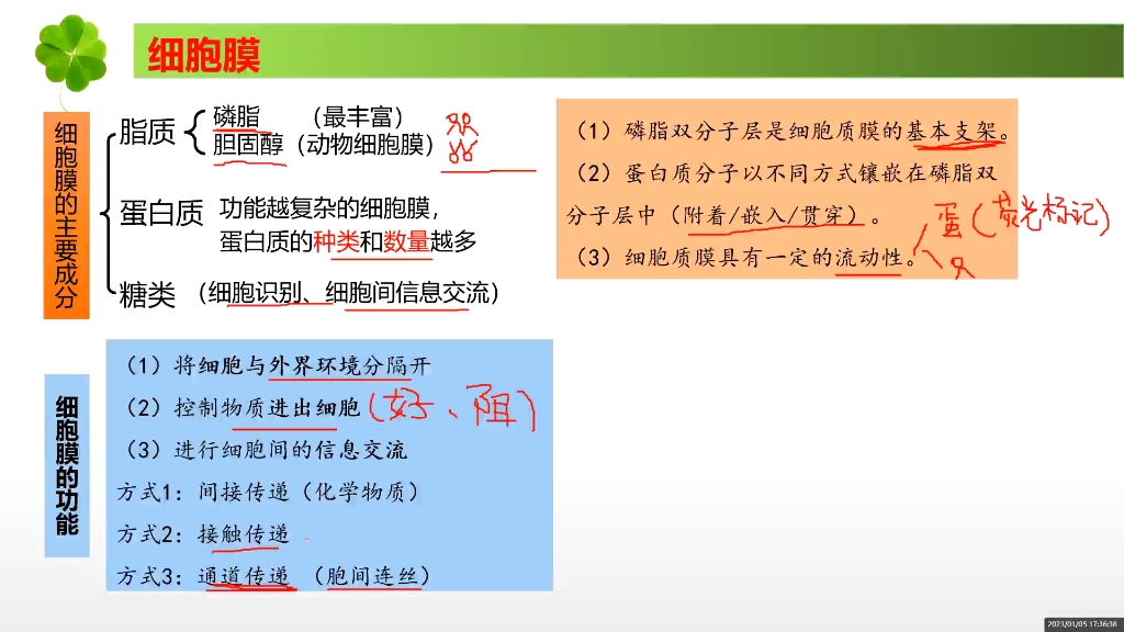 高中生物必修一复习(二)