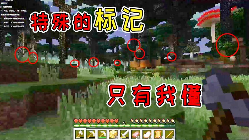 我的世界萌新生存04:这个神奇的标记,再也不用担心找不到家