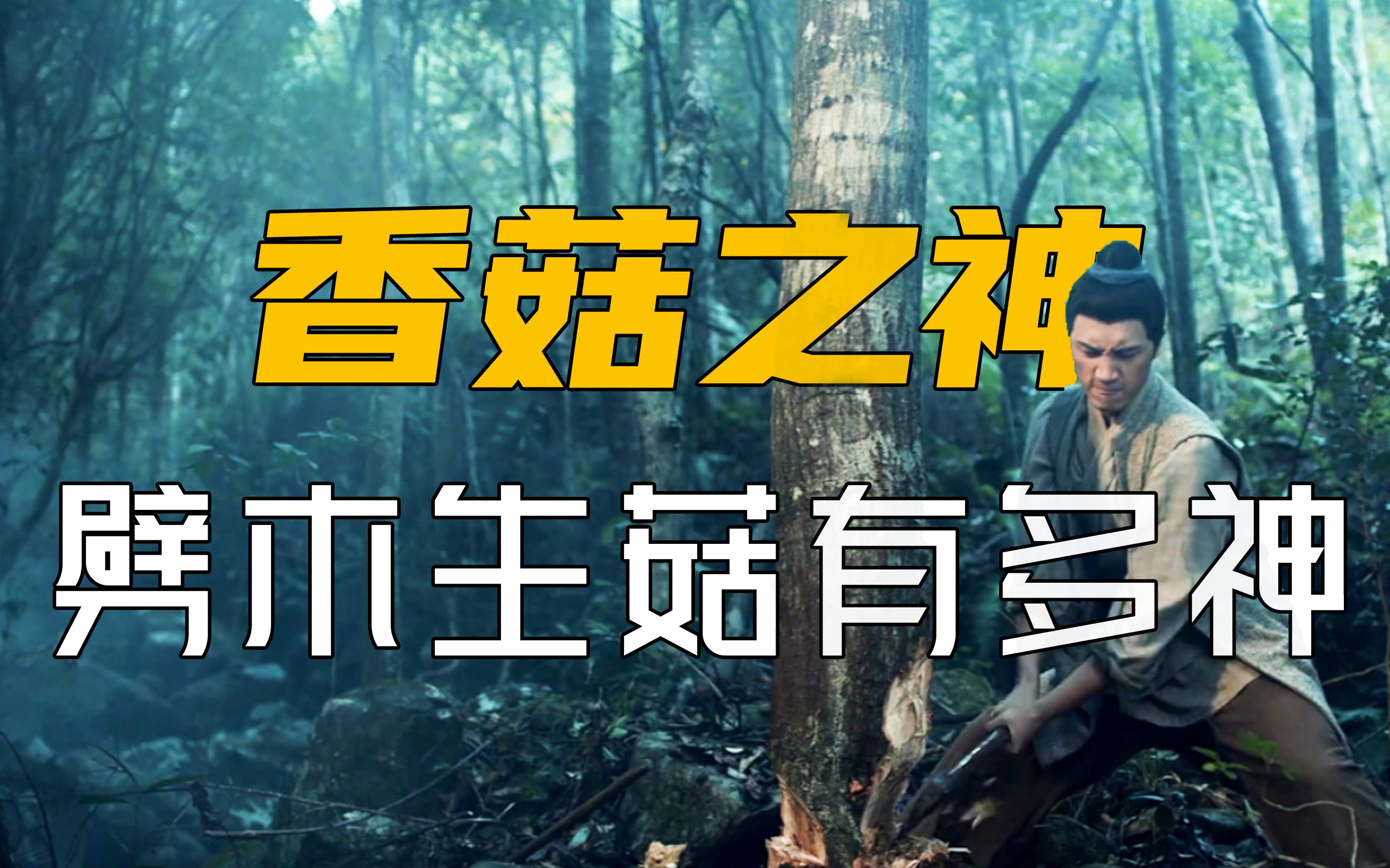 原来香菇之神是宋朝的他,劈木生菇的“惊蕈术”到底有多神奇!