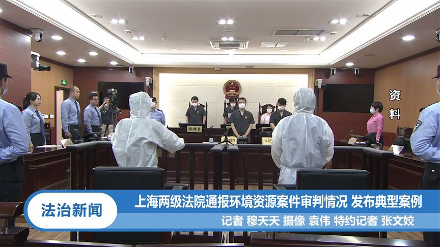 上海两级法院通报环境资源案件审判情况 发布典型案例丨法治天地