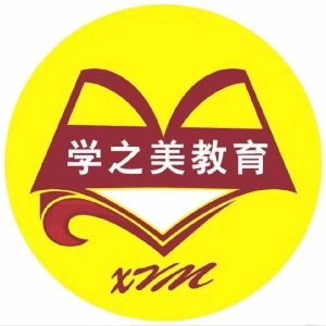 XZM511 