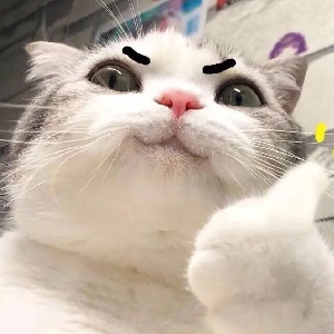老黑不黑呀 