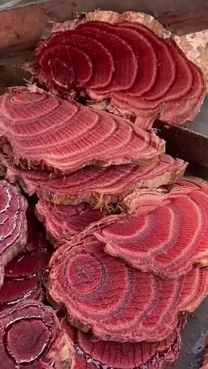 鸡血藤,新鲜切片自然晾晒干,泡水煲汤都很不错#强烈推荐 #鸡血藤 #...