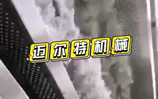 气泡式果蔬清洗机 酱菜生产厂家用清洗设备 海鲜蛤蜊清洗线