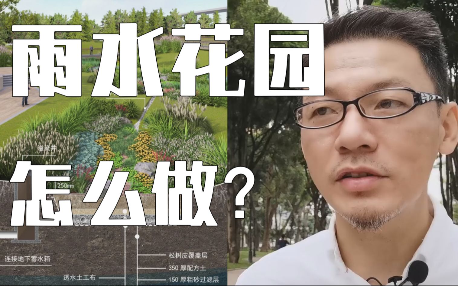 海绵城市系列——雨水花园怎么做?