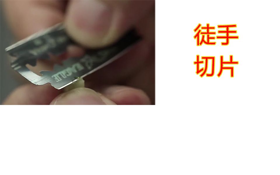 【实验】徒手切片法制备植物组织细胞标本片,根尖切片,土豆切片,叶子...