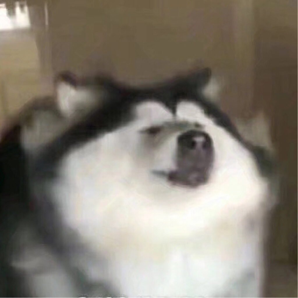 C某的马甲 