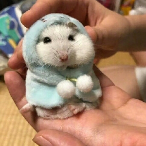 移库呀 