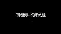 【请戴耳机并选择超清播放】易语言母猪模块视频教程 调用淘宝API